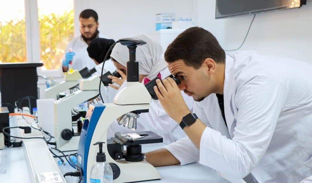 Schools and Programs | Libyan International University (LIMU)