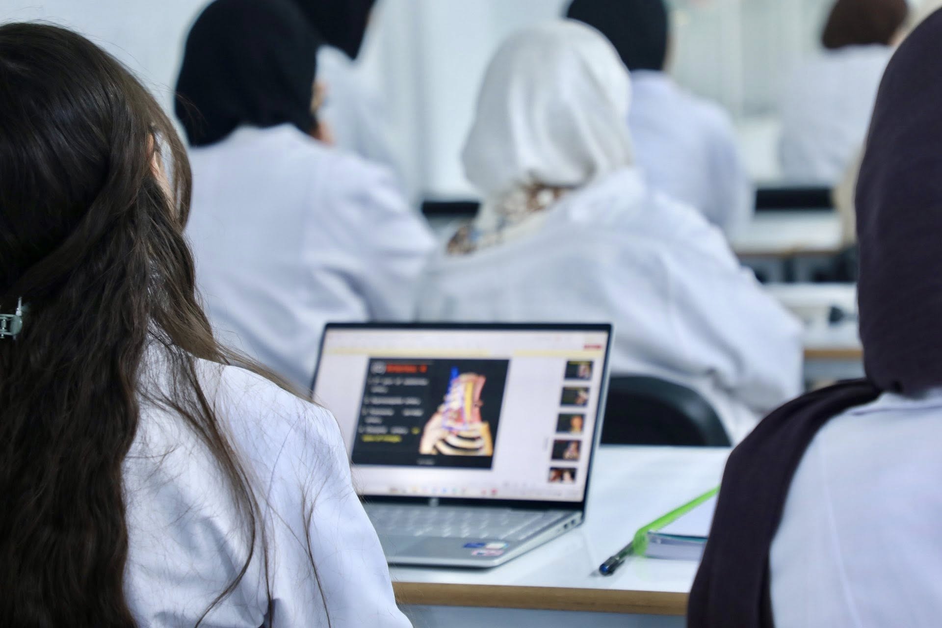 Schools and Programs | Libyan International University (LIMU)